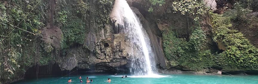 REGION VII | Philippine Chamber of Commerce and Industry