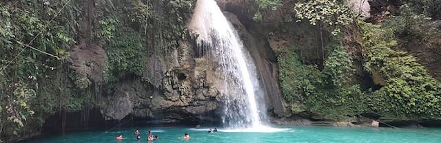 REGION VII | Philippine Chamber of Commerce and Industry