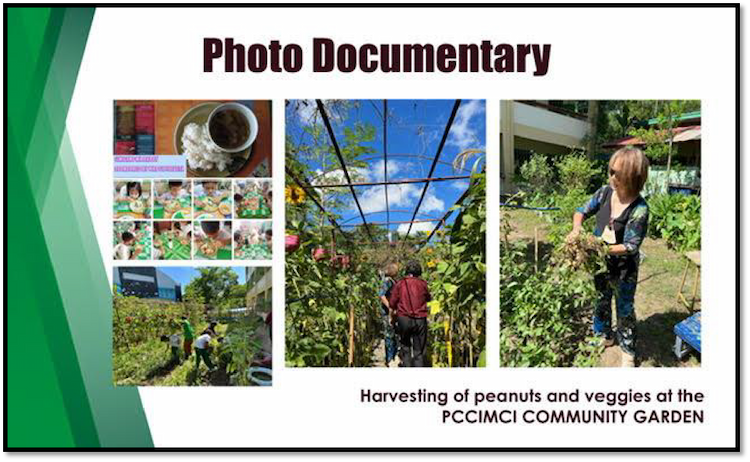 CENTRAL SECTOR | Philippine Chamber of Commerce and Industry